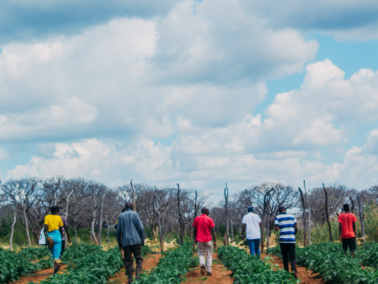 December 2025 – Mati Carbon